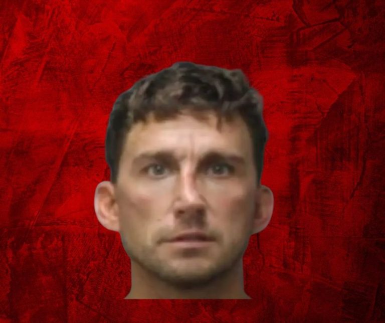 Tesla Driver Infamous for California Road Rage Arrested Again in Hawaii ...